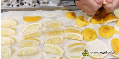How To Freeze Dry Lemon | Freeze Dried Guide