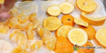 How to Freeze Dry Oranges | Freeze Dried Guide