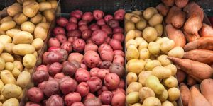 How To Freeze Dry Potatoes | Freeze Dried Guide