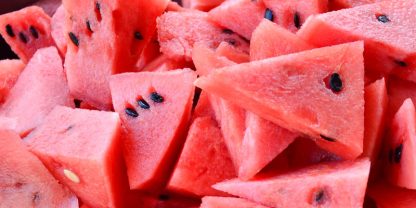 How To Freeze Dry Watermelon | Freeze Dried Guide