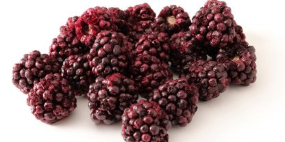How To Freeze Dry Blackberries | Freeze Dried Guide