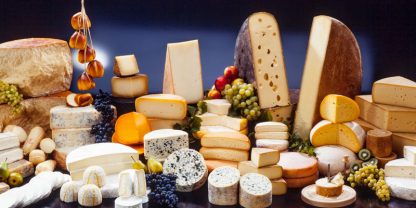 How to Freeze Dry Cheese | Freeze Dried Guide