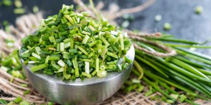 How To Freeze Dry Chives | Freeze Dried Guide