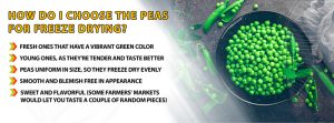 How To Freeze Dry Snap Peas | Freeze Dried Guide