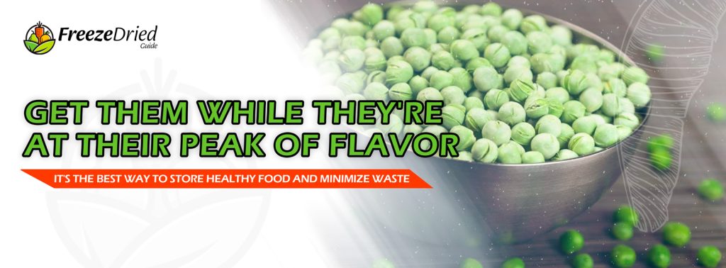 How To Freeze Dry Snap Peas | Freeze Dried Guide