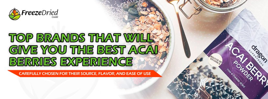 Top 5 Freeze-Dried Acai Berries | Freeze Dried Guide