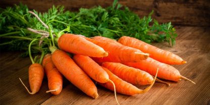 How to Freeze Dry Carrots | Freeze Dried Guide