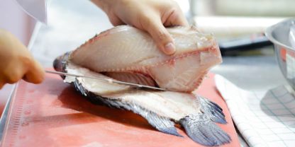 How To Freeze Dry Fish | Freeze Dried Guide