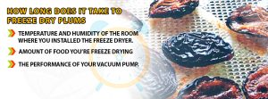 How To Freeze Dry Plums | Freeze Dried Guide