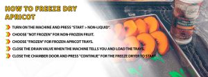 How To Freeze Dry Apricot | Freeze Dried Guide