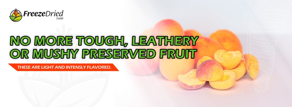 How To Freeze Dry Apricot | Freeze Dried Guide