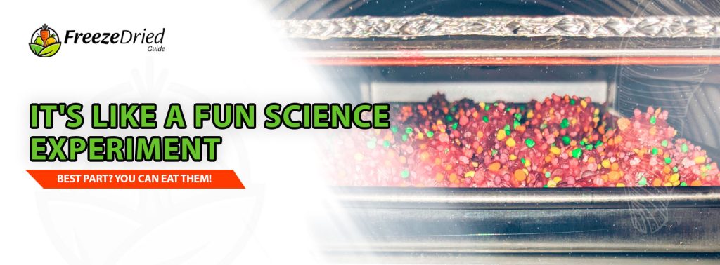 How To Freeze Dry Nerd Clusters | Freeze Dried Guide