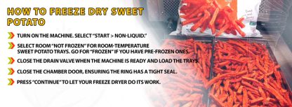 How To Freeze Dry Sweet Potato | Freeze Dried Guide