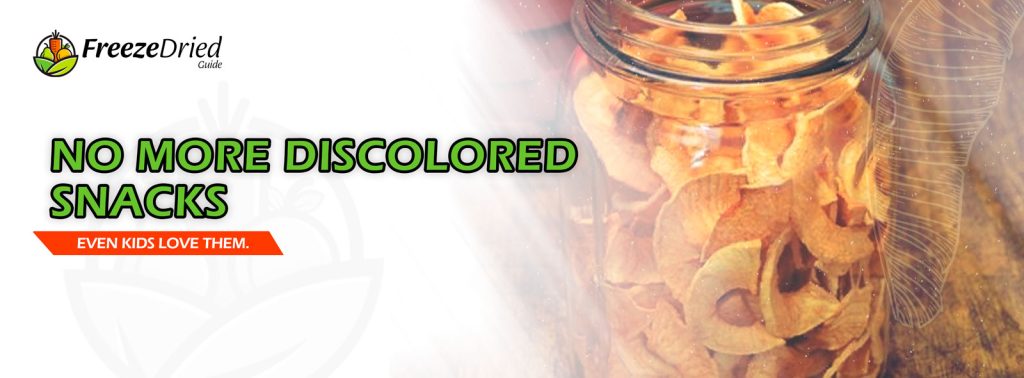 5 Brands of Freeze-Dried Apple Slices To Try | Freeze Dried Guide