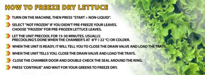 How To Freeze Dry Lettuce | Freeze Dried Guide