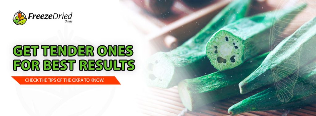 How To Freeze-Dry Okra | Freeze Dried Guide