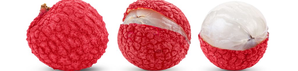 Where To Buy Freeze-Dried Lychee | Freeze Dried Guide